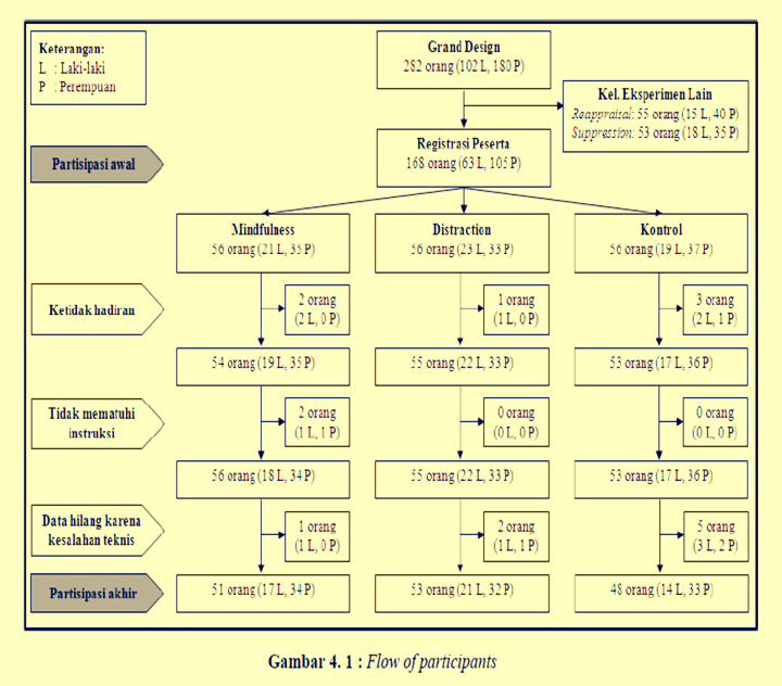 Affect regulation: Visual | Placebo Research Group